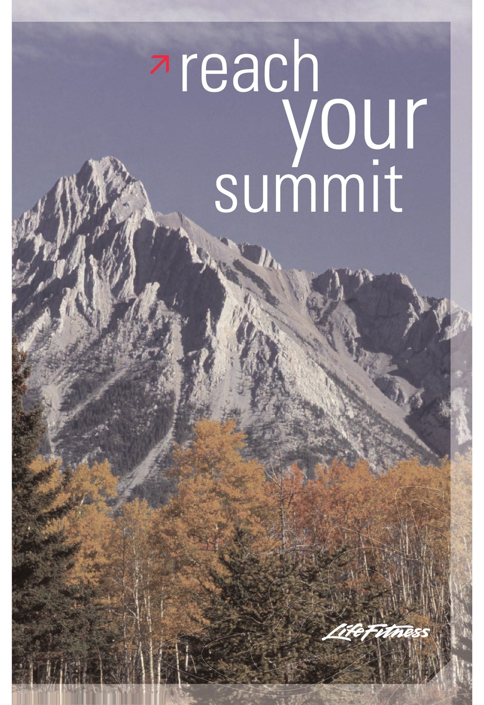 LIFE FITNESS SUMMIT TRAINER 95LE 95LI BROCHURE SPECS Pdf Download LIFE FITNESS SUMMIT TRAINER 95LE 95LI BROCHURE SPECS Pdf Download