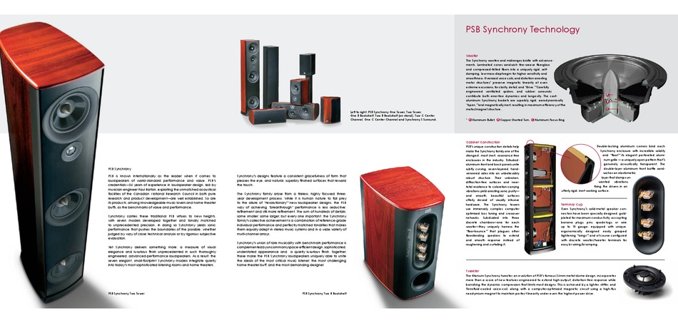 PSB SYNCHRONY SYNCHRONY ONE USER MANUAL Pdf Download | ManualsLib