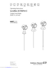 Endress+hauser Levelflex M FMP40 Manuals | ManualsLib