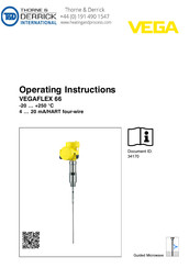 Vega VEGAFLEX 66 Manuals | ManualsLib